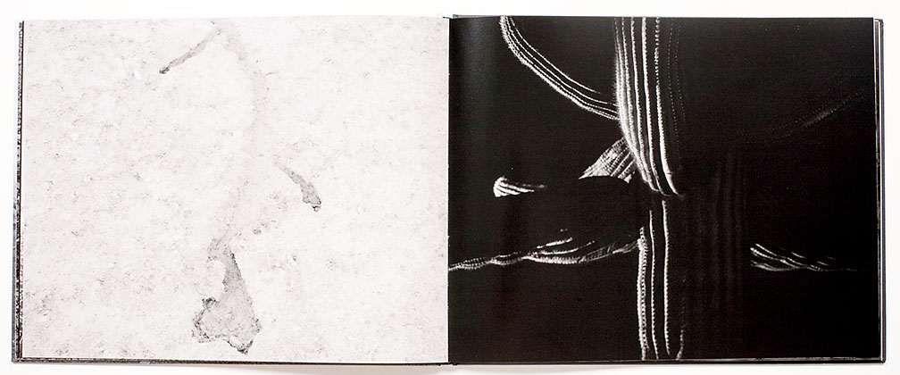 Michael Lundgren – Transfigurations – PhotoBook Journal