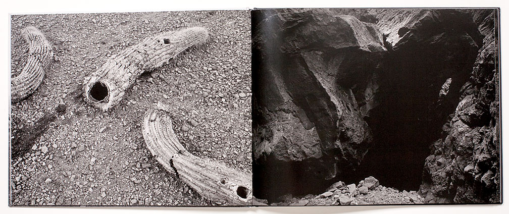 Michael Lundgren – Transfigurations – PhotoBook Journal
