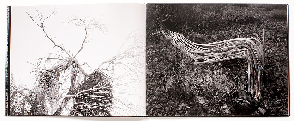 Michael Lundgren – Transfigurations – PhotoBook Journal