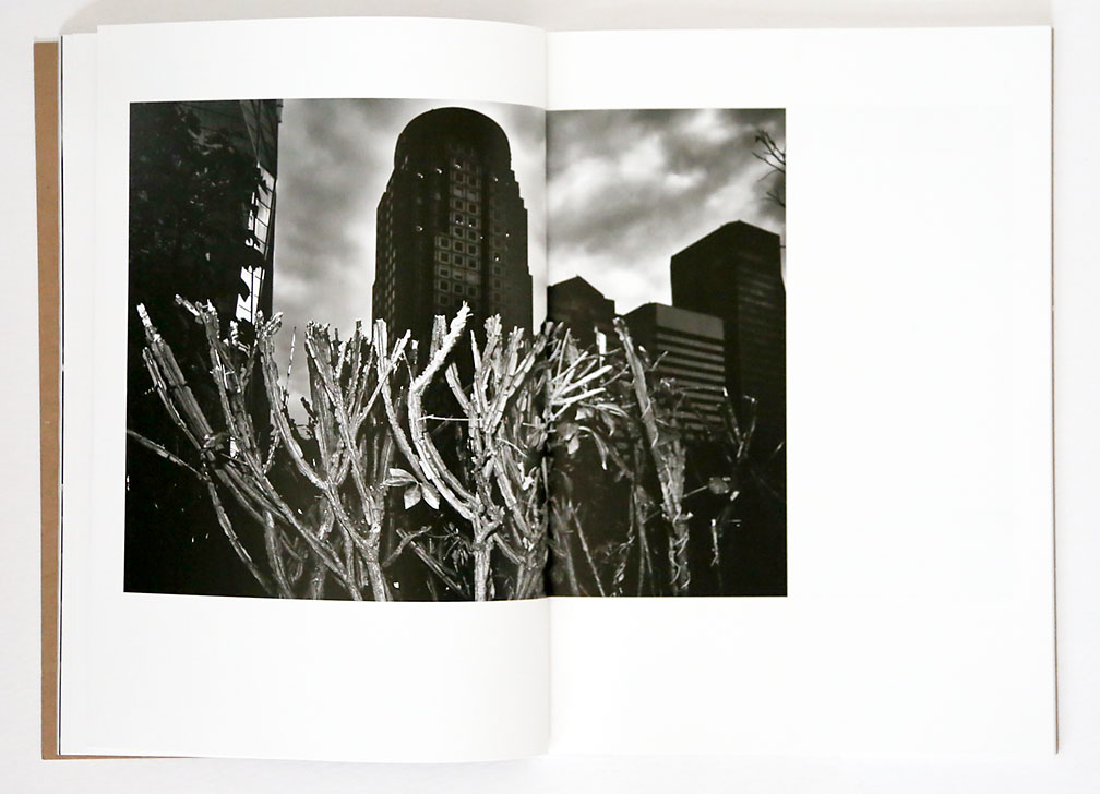 Young-hwan Choi – BABEL – PhotoBook Journal