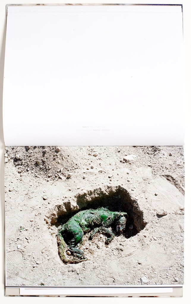 Michael Lundgren – Matter – PhotoBook Journal