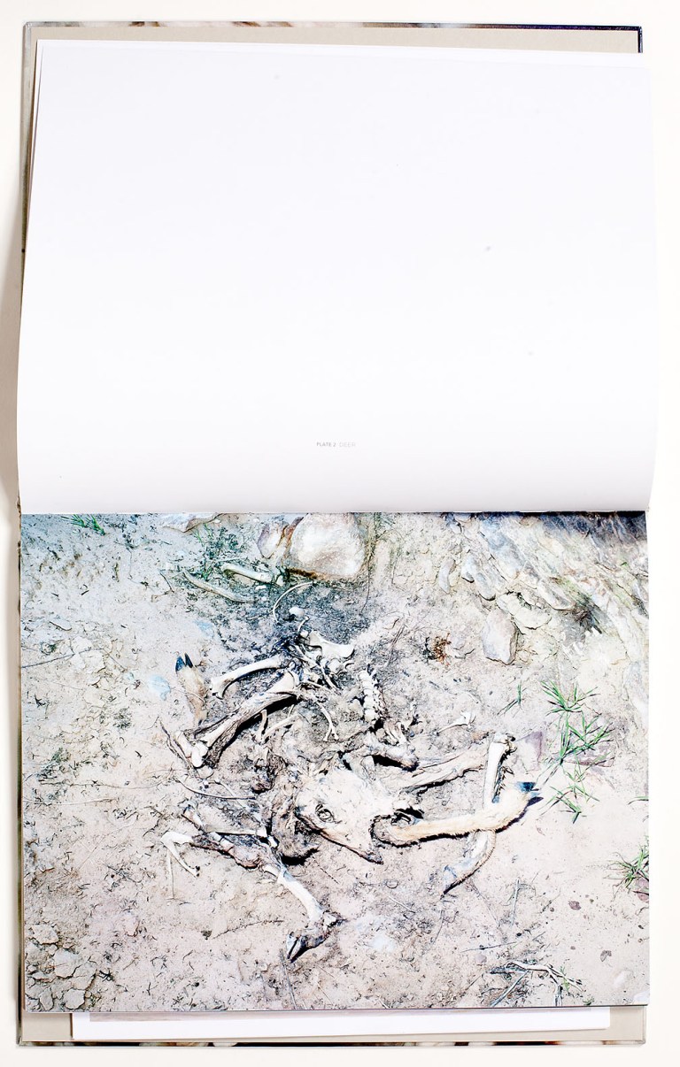 Michael Lundgren – Matter – PhotoBook Journal