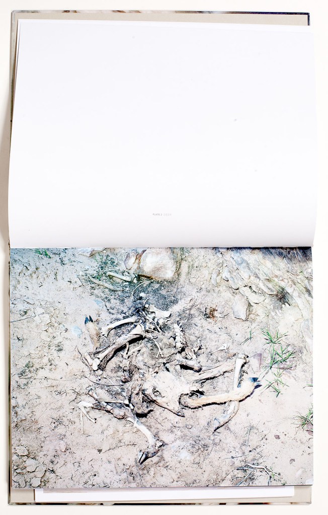 Michael Lundgren – Matter – PhotoBook Journal