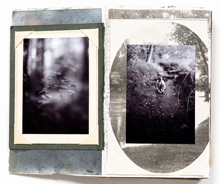 Melissa Lazuka – Song of the Cicadas – PhotoBook Journal