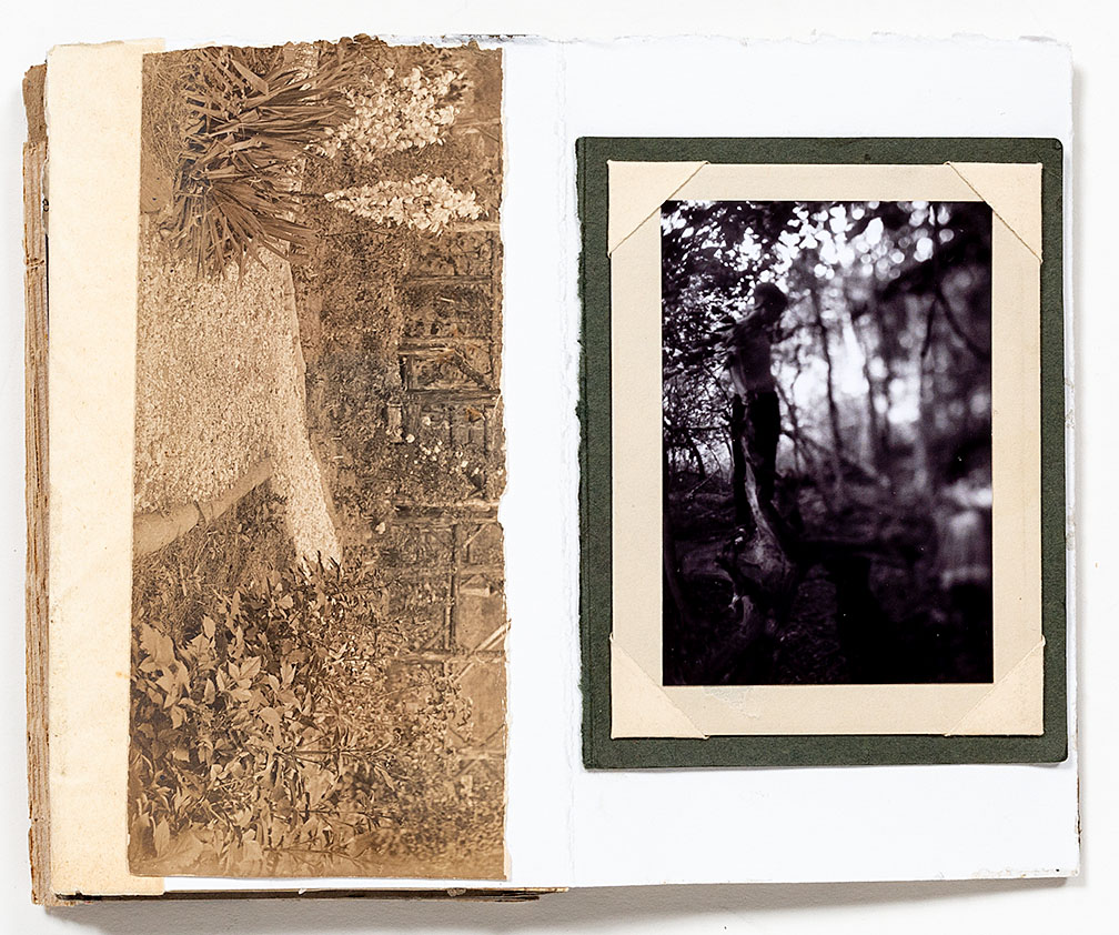 Melissa Lazuka – Song of the Cicadas – PhotoBook Journal