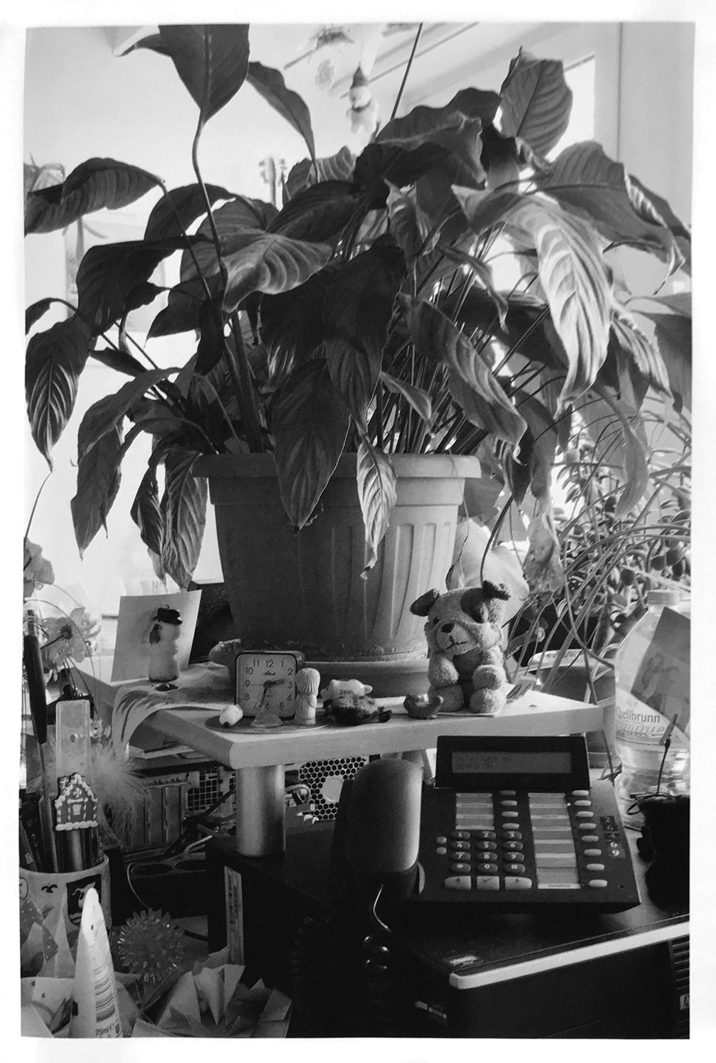 Saskia Groneberg – Büropflanze (office plant) – PhotoBook Journal