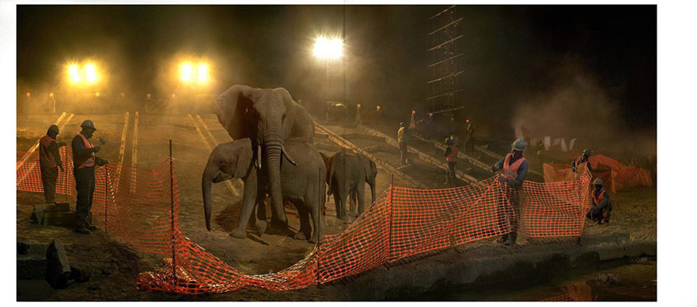 Nick Brandt – This Empty World – PhotoBook Journal