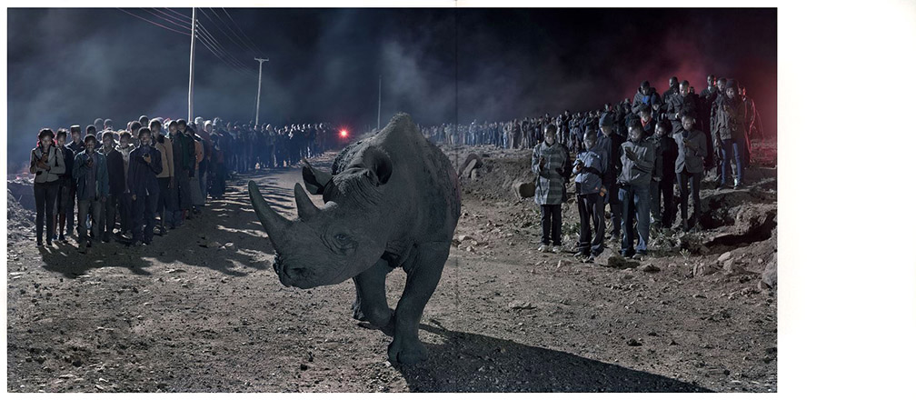 Nick Brandt – This Empty World – PhotoBook Journal