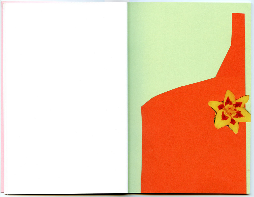 Elinor Carucci, David Hilliard, Mickalene Thomas – Caress – PhotoBook ...