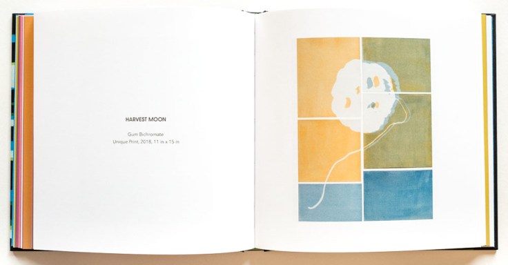 Paula Riff: works on paper – PhotoBook Journal