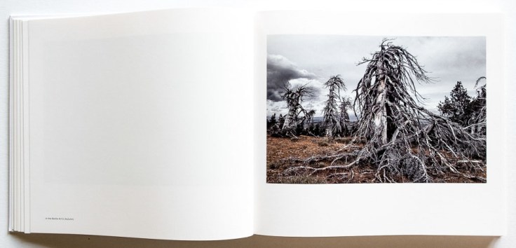 Bruce Haley – Home Fires, Vol II: The Present – PhotoBook Journal