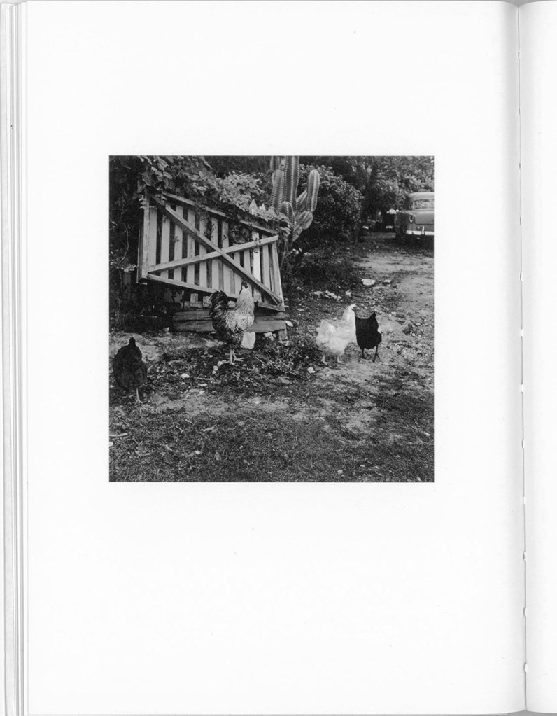 Moyra Davey & Peter Hujar – The Shabbiness of Beauty – PhotoBook Journal