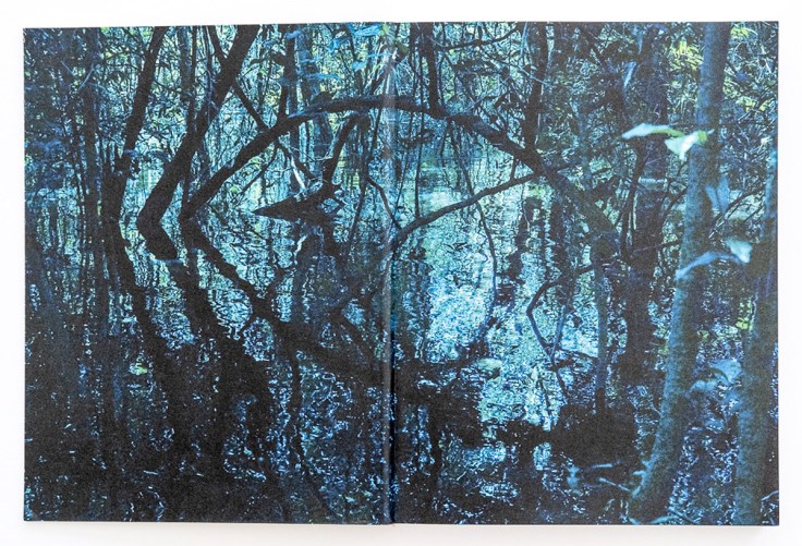 Caio Reisewitz – Altamira – PhotoBook Journal