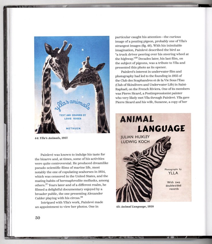 Pryor Dodge – YLLA: The Birth of Modern Animal Photography – PhotoBook ...