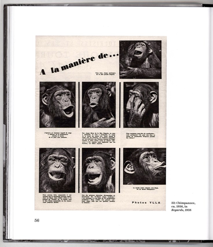 Pryor Dodge – YLLA: The Birth of Modern Animal Photography – PhotoBook ...