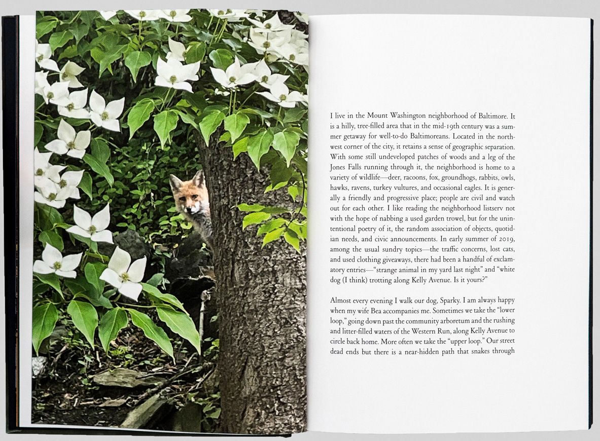 Mark Alice Durant – Summer of the White Fox, and After – PhotoBook Journal
