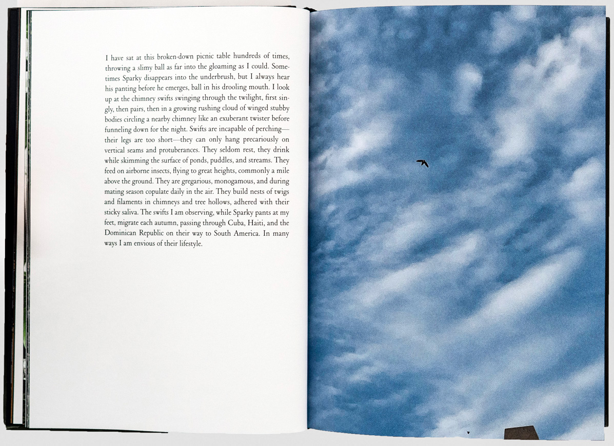 Mark Alice Durant – Summer of the White Fox, and After – PhotoBook Journal