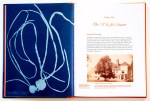 Anna Atkins – Photographer – Naturalist – Innovator – PhotoBook Journal
