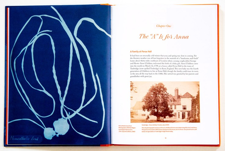 Anna Atkins – Photographer – Naturalist – Innovator – PhotoBook Journal