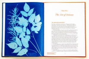 Anna Atkins – Photographer – Naturalist – Innovator – PhotoBook Journal