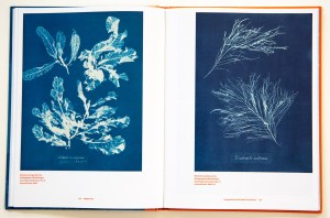 Anna Atkins – Photographer – Naturalist – Innovator – PhotoBook Journal