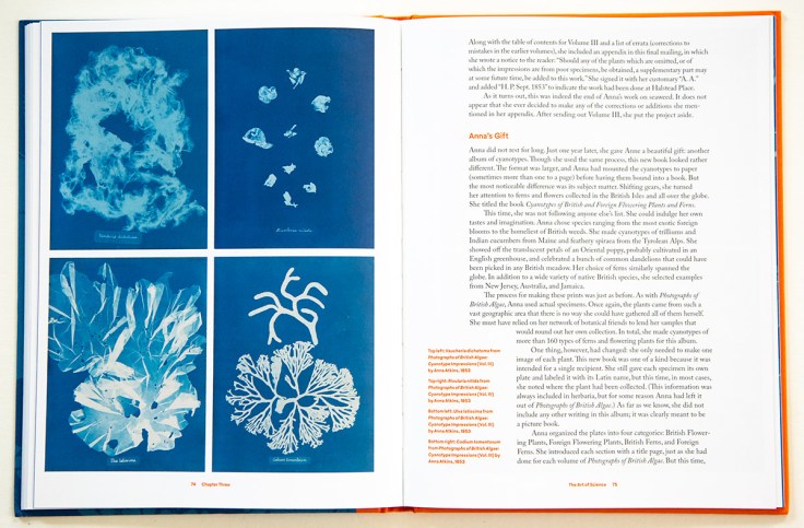 Anna Atkins – Photographer – Naturalist – Innovator – PhotoBook Journal