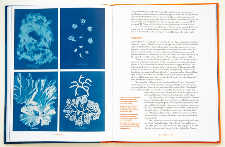 Anna Atkins – Photographer – Naturalist – Innovator – PhotoBook Journal