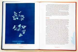 Anna Atkins – Photographer – Naturalist – Innovator – PhotoBook Journal