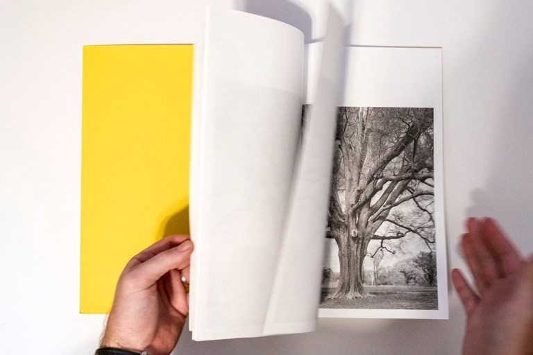 Amanda Sauer – Giant Willow Oak – PhotoBook Journal