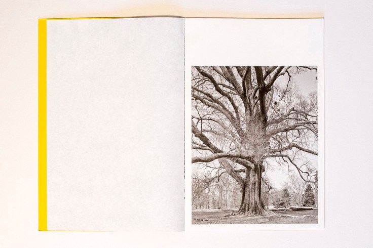 Amanda Sauer – Giant Willow Oak – PhotoBook Journal